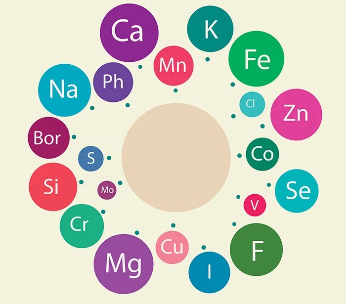 Micronutrients 101 – The Freshman Fitness Blog by Emily Robinson