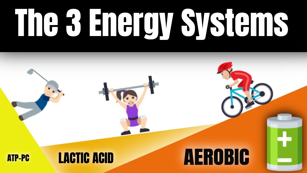 A Dive Into the Three Energy Systems Used During Exercise – The ...